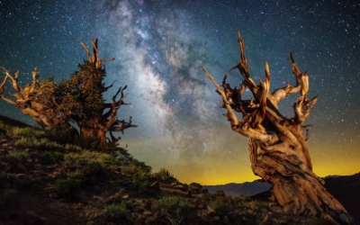 The Atmic body: Gods and Forces – Menshikova School